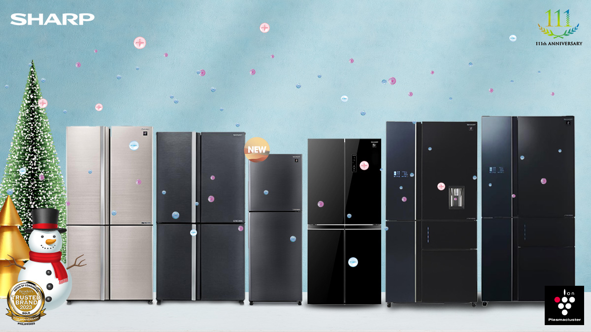 How to Spot the Best Refrigerator for Holiday Season – The Chikkaness